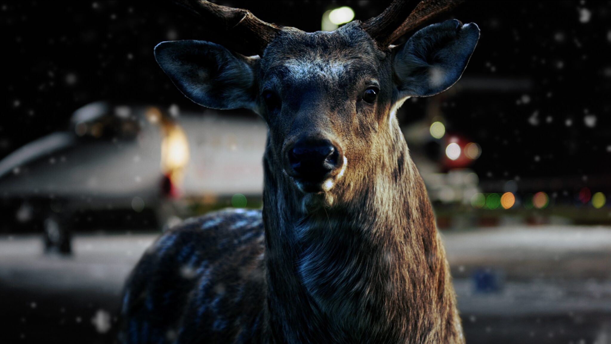 Loganair To Debut Latest Christmas Advert This December - Travel Pursuit