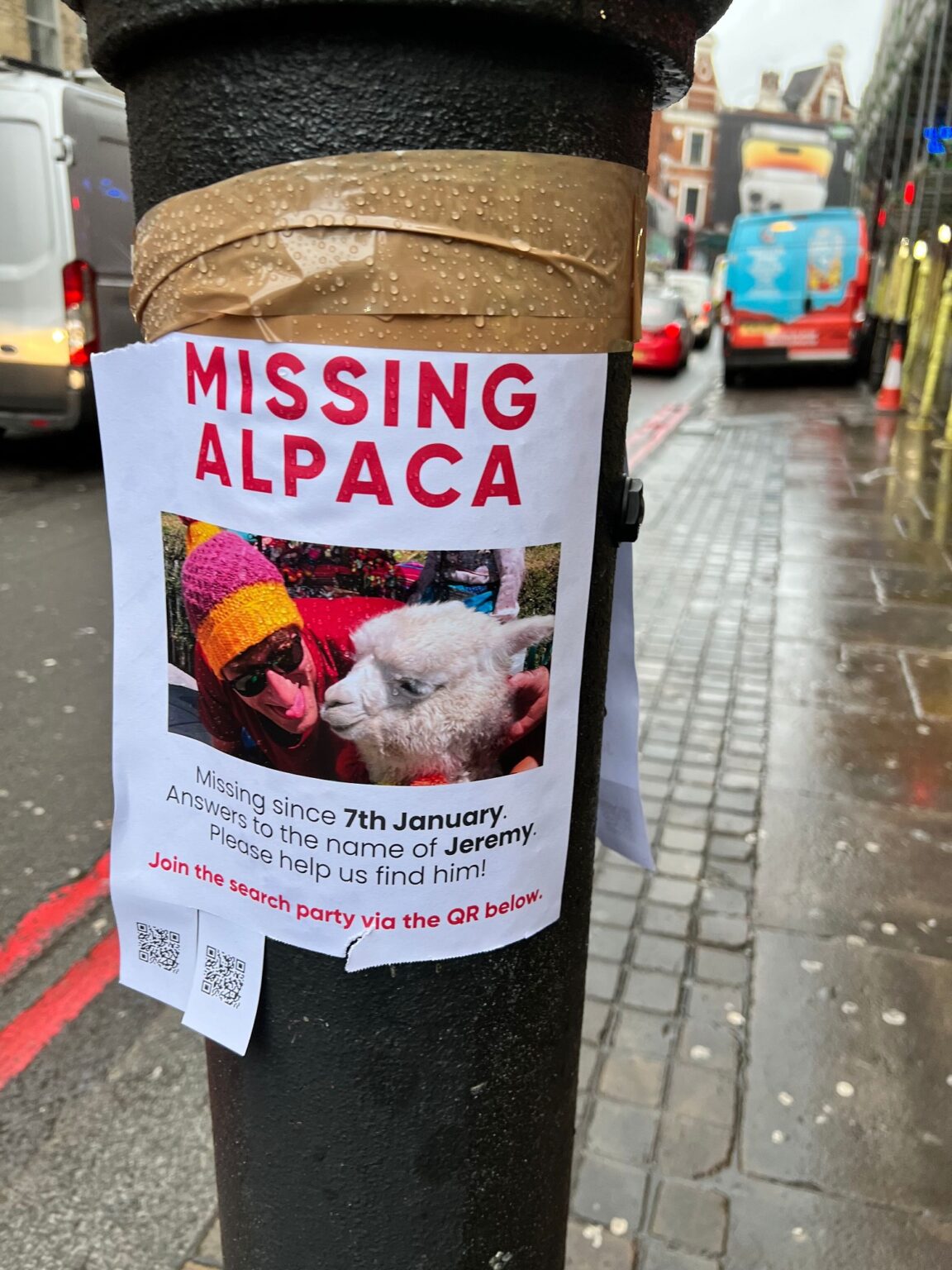 WeRoad Launches "Missing Animals" Marketing Campaign - Travel Pursuit