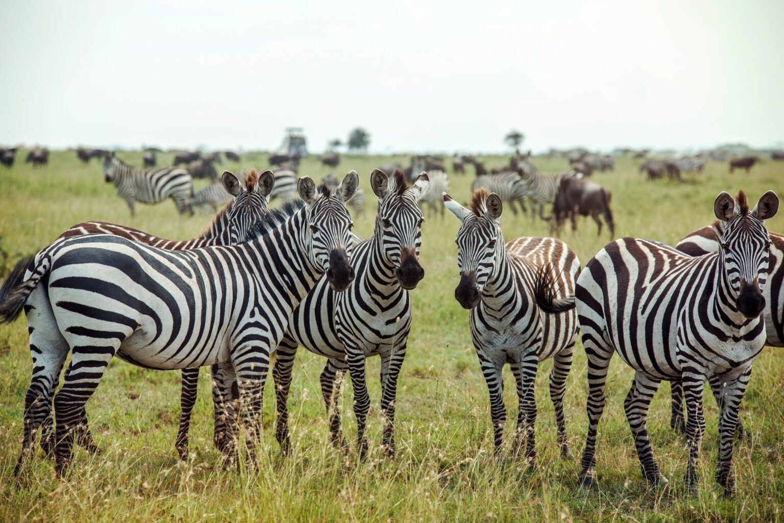 G Adventures Launches New National Geographic Family Journeys - Travel ...