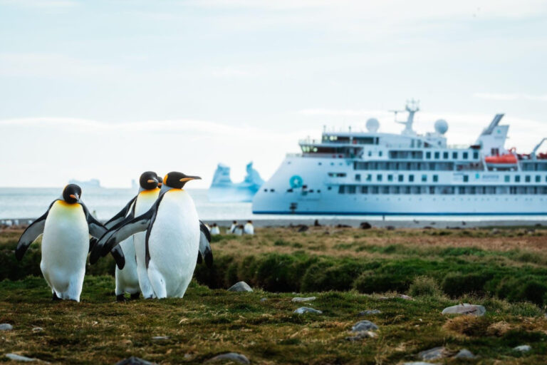 AE Expeditions 'Companions Travel Free' Offer - Travel Pursuit
