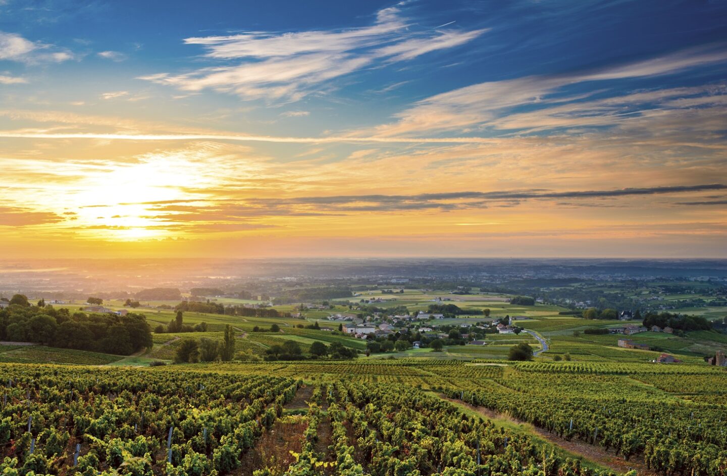 Scenic Unveils New Wine-Themed River Cruises - Travel Pursuit